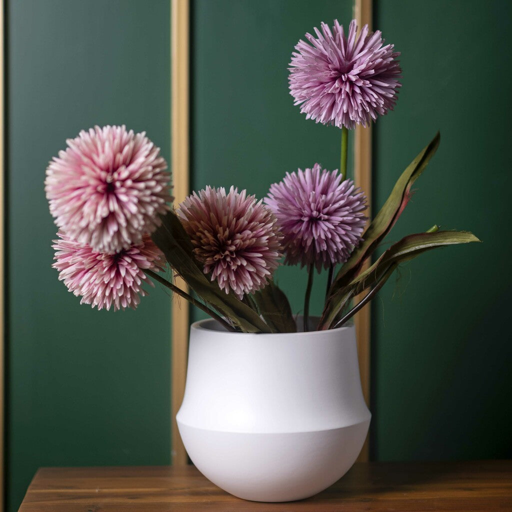 Pure Spite - CurioCasa